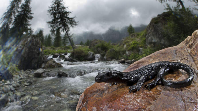 Wandertipps | outdoor-magazin.com