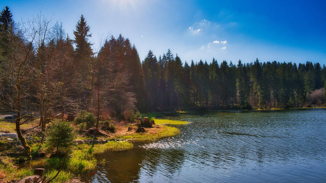 Rennsteig: Der älteste Fernwanderweg Deutschlands | outdoor-magazin.com