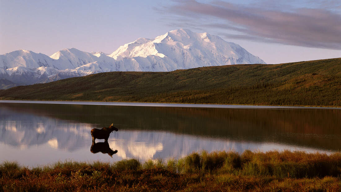 Die höchsten Berge der Welt: Denali - Alaskas eisiges Dach