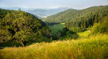 Kinzigtal im Schwarzwald - Wandertipps & Reiseinfos