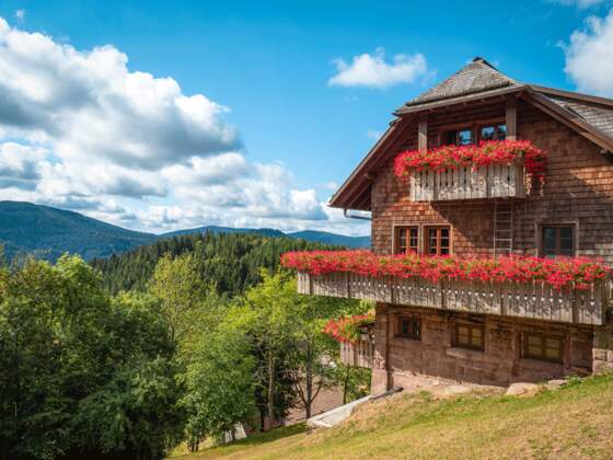 Wandertipp im Schwarzwald: Der Renchtalsteig bei Oberkirch | outdoor ...