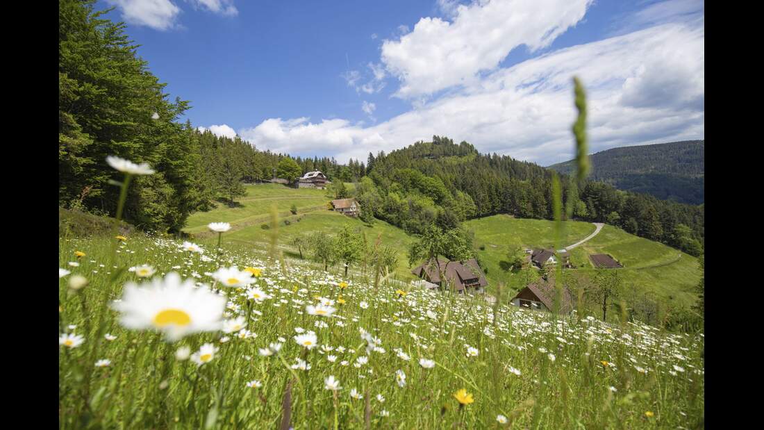 Neu 2020: Der Badische Weinradweg | outdoor-magazin.com