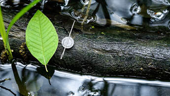 Bushcraft | outdoor-magazin.com